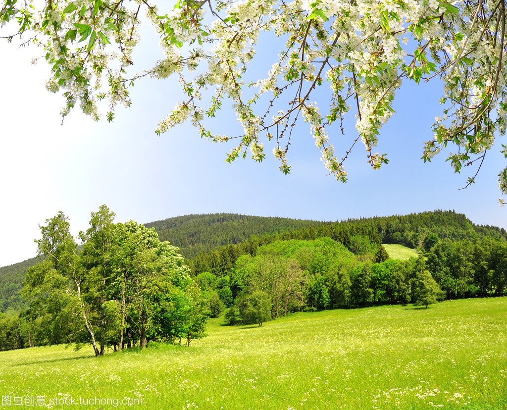 2_1_avatar_JhITB4897 – Scratch编程